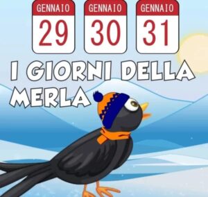 In arrivo i “giorni della merla”. Cosa sono e come nasce la leggenda ...